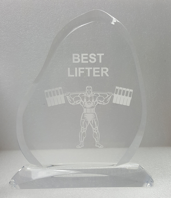 bodybuilding trophies & awards. Male physique, female Figure awards
