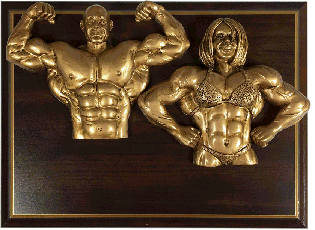 bodybuilding trophies & awards. Male physique, female Figure awards